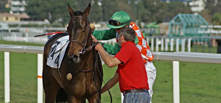 How Trainers Prepare a Thoroughbred for the Kentucky Derby > Global Racing