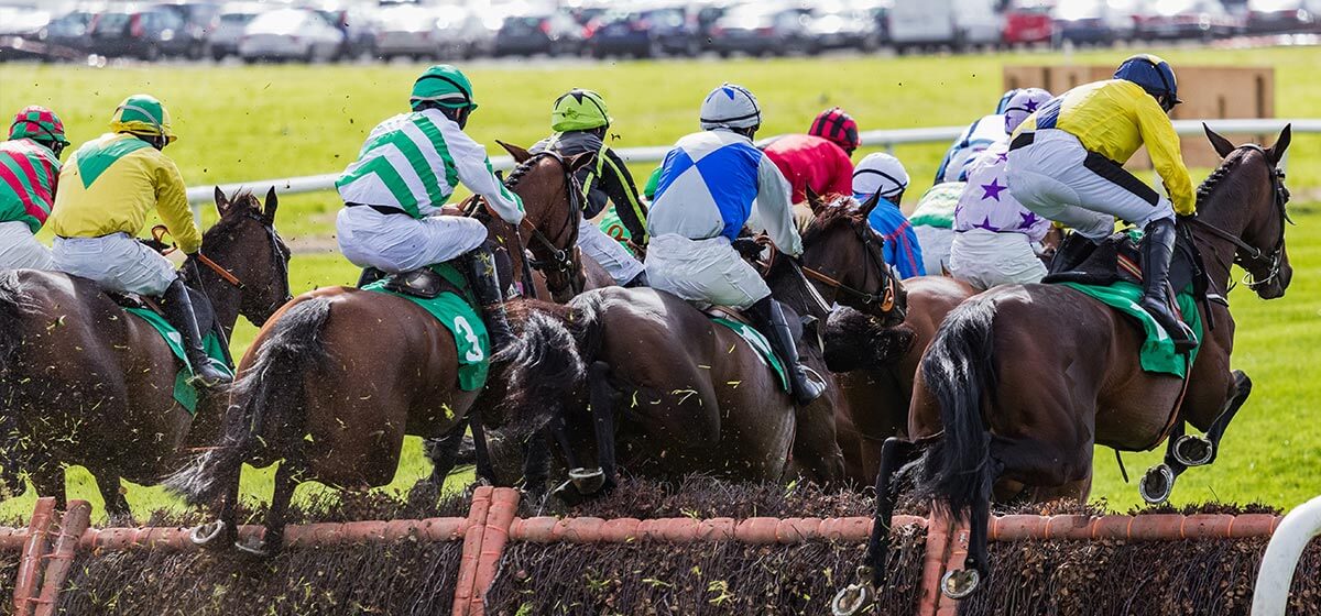 Types of Horse Races Explained (Flat, Harness & Jump Racing) > Global ...