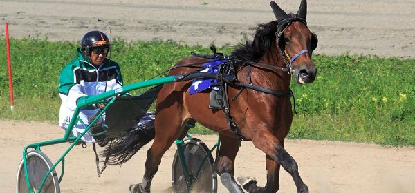 Top Harness Racing Drivers of All Time > Global Racing