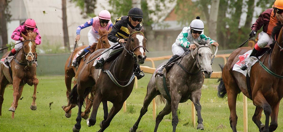 Types of Horse Races Explained (Flat, Harness & Jump Racing) > Global ...