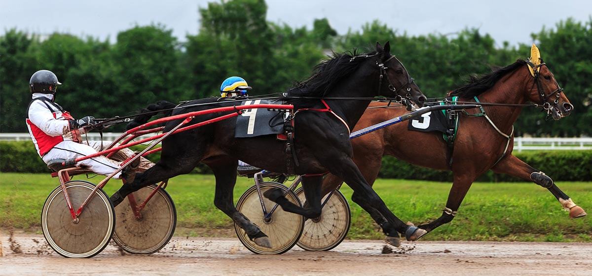 Famous Driver Rivalries in Harness Racing > Global Racing